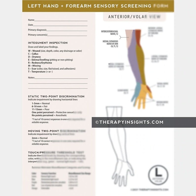Printable Resource Hand and Forearm Sensory Screening Form - Etsy