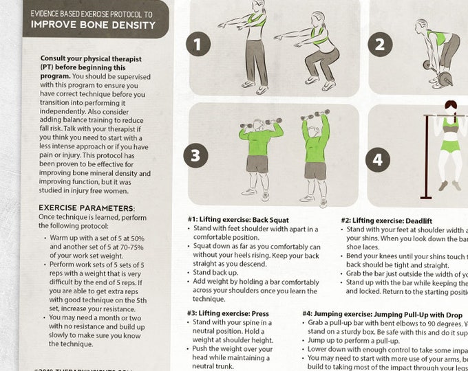 Printable Resource Evidence Based Exercise Protocol to Improve Bone ...