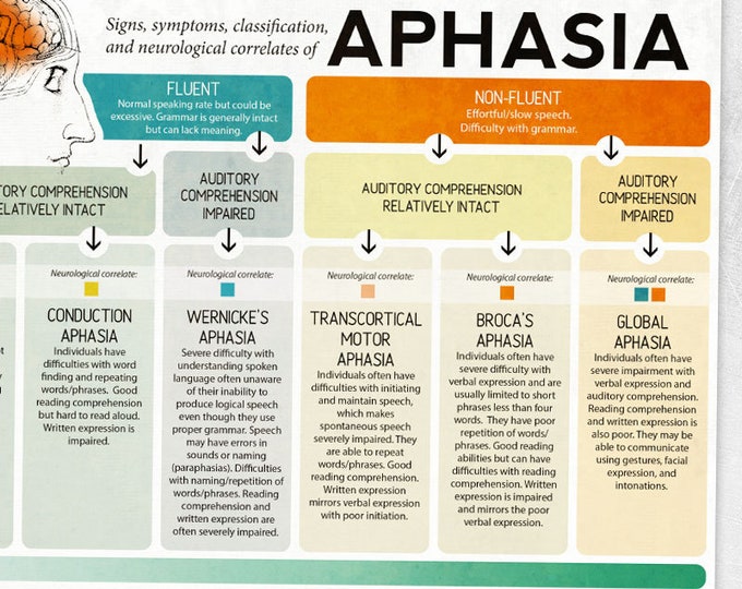 Printable Resource Types of Aphasia and Their Neurological Correlates ...