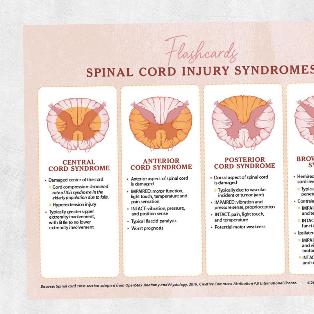 Printable Resource Spinal Cord Injury Syndromes - Etsy