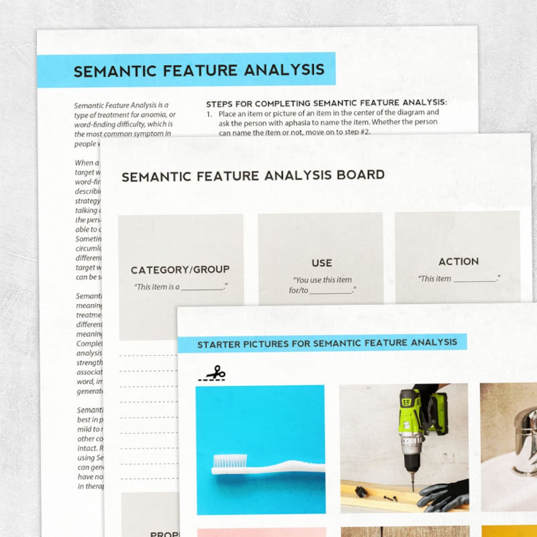 Printable Resource Semantic Feature Analysis - Etsy