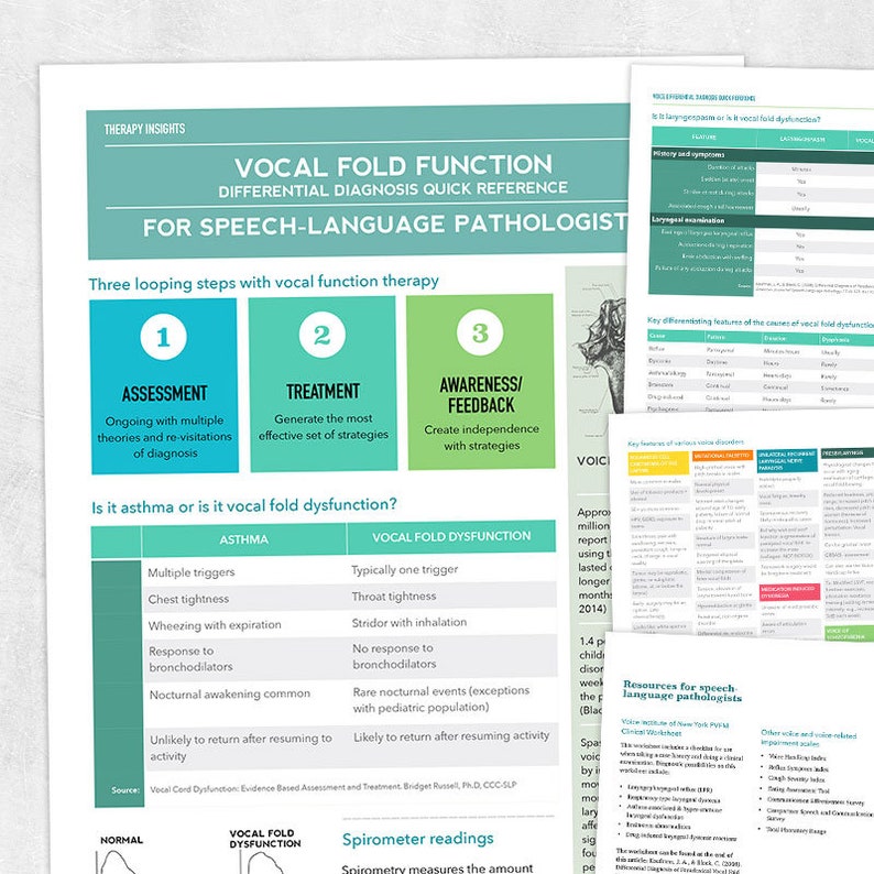 Printable Resource Vocal Fold Function - Etsy