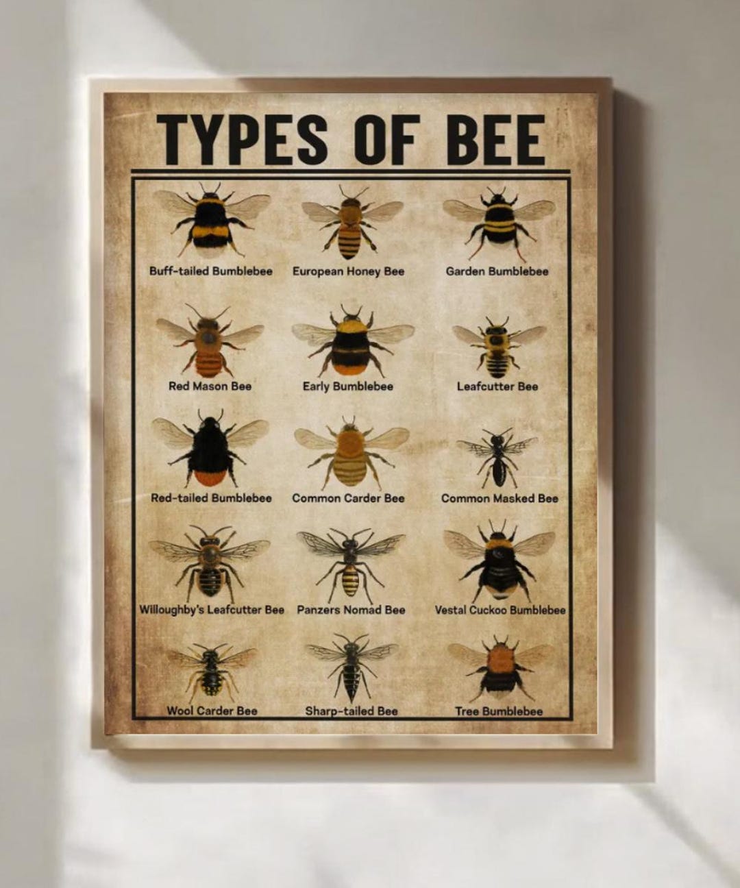 Vintage Bee Knowledge Poster Educational Wall Art Types of Bees Chart ...