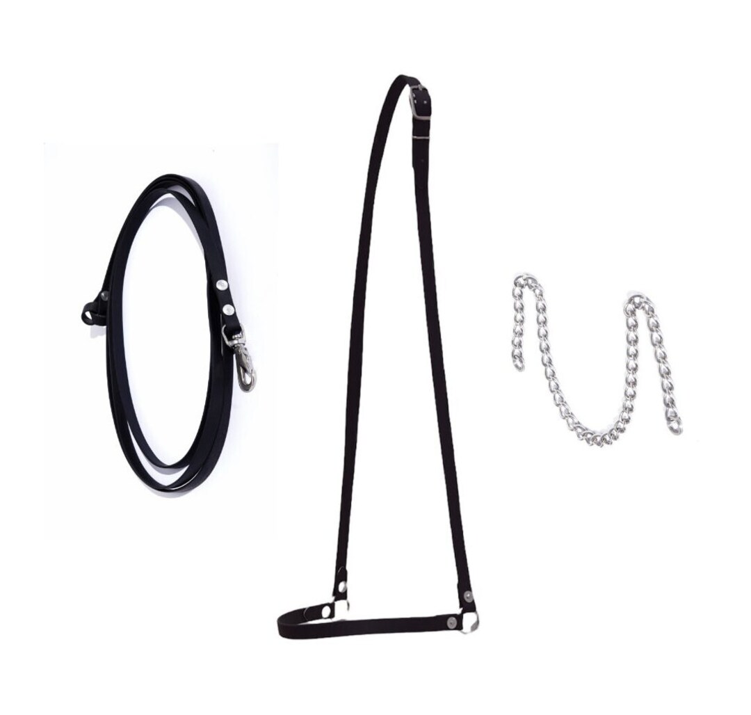 Show Halter, Biothane Show Halter, Presentation Halter, Horse Show Halter, Arabian Show Halter ...