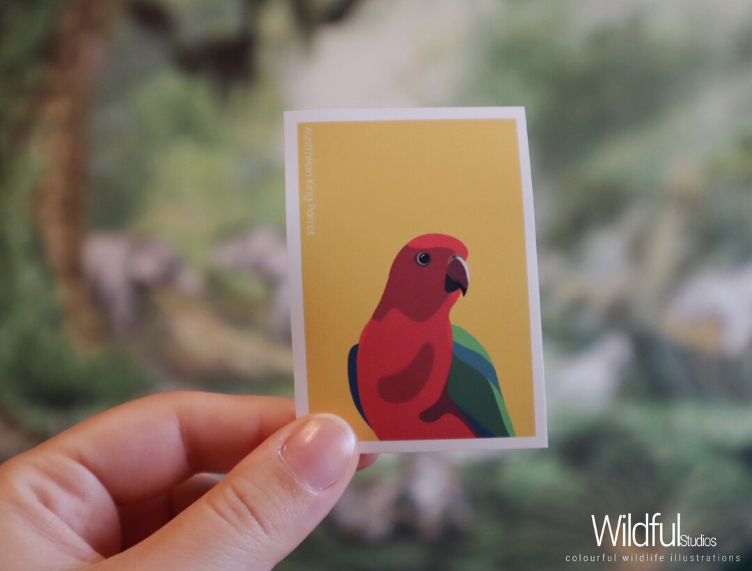 Single King Parakeet Sticker, Decal, Matte, Vinyl, Illustration ...