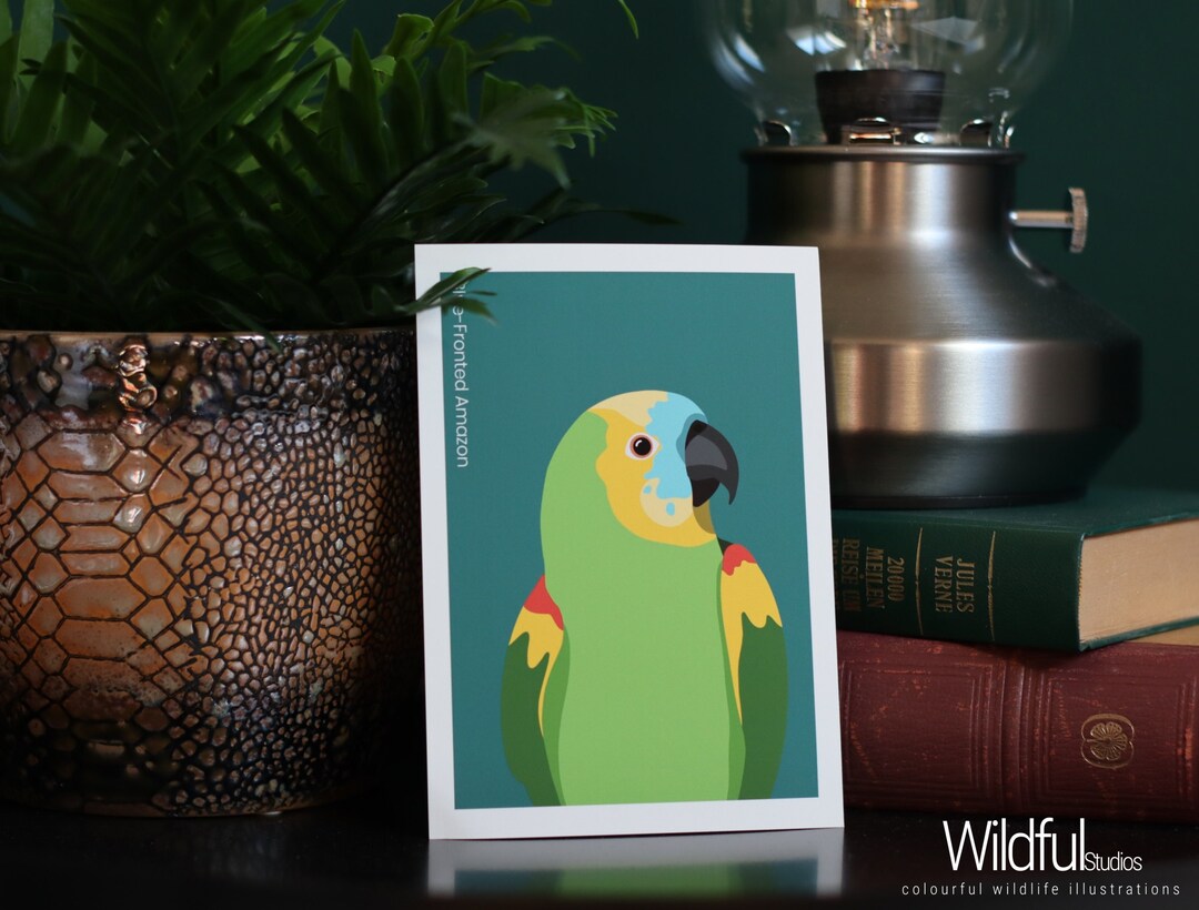 Blue-fronted Amazon Art Print in Three Sizes A4, A5, A6, Postcard ...