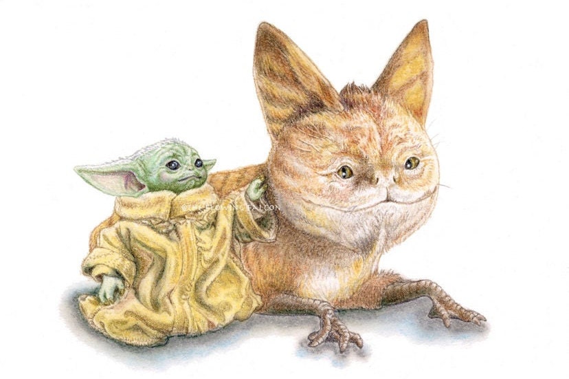 Yoda The Cat