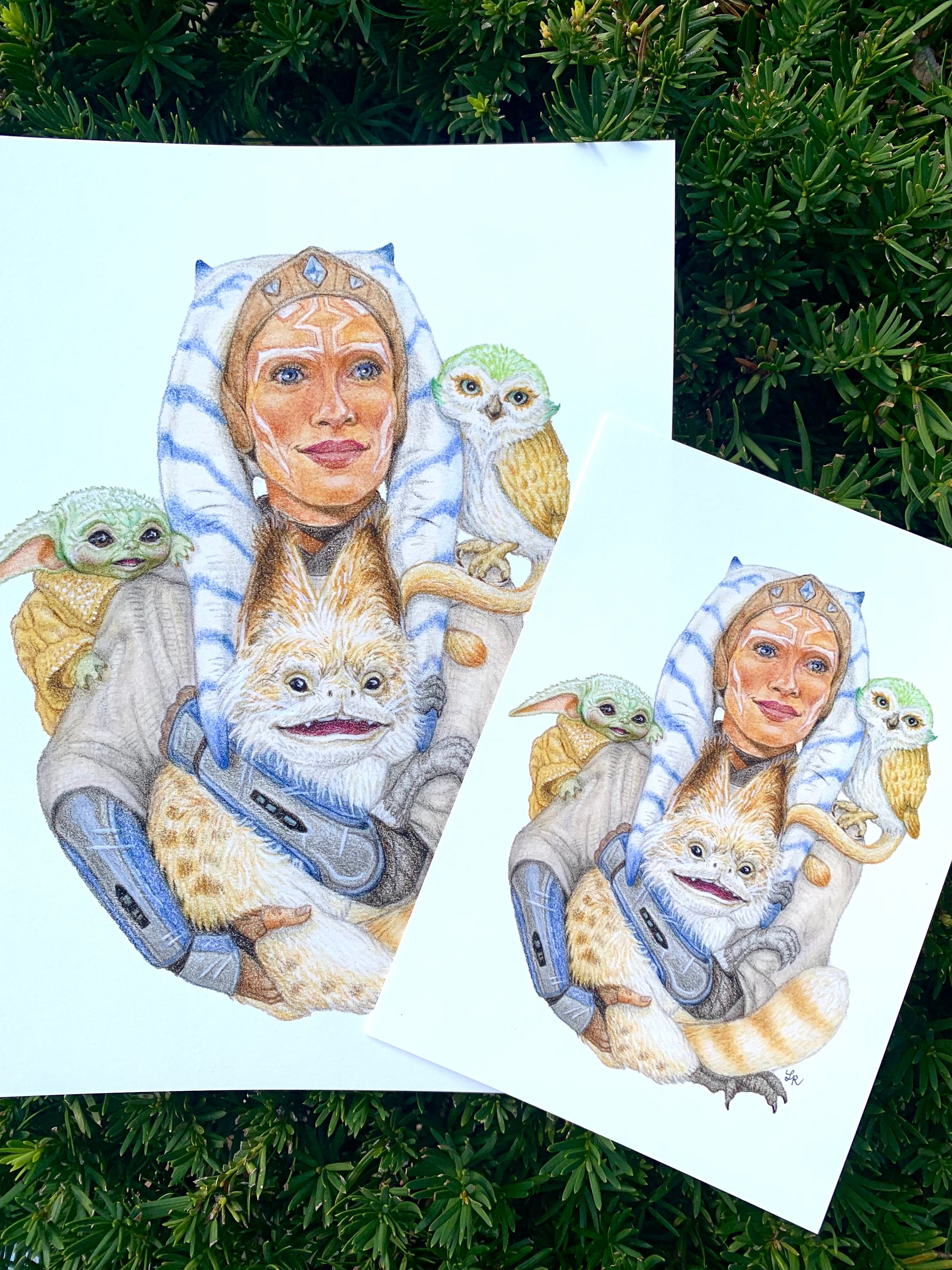 Ahsoka, Murley the Loth-cat, Grogu and Morai 8x10 or 5x7 Art Print ...