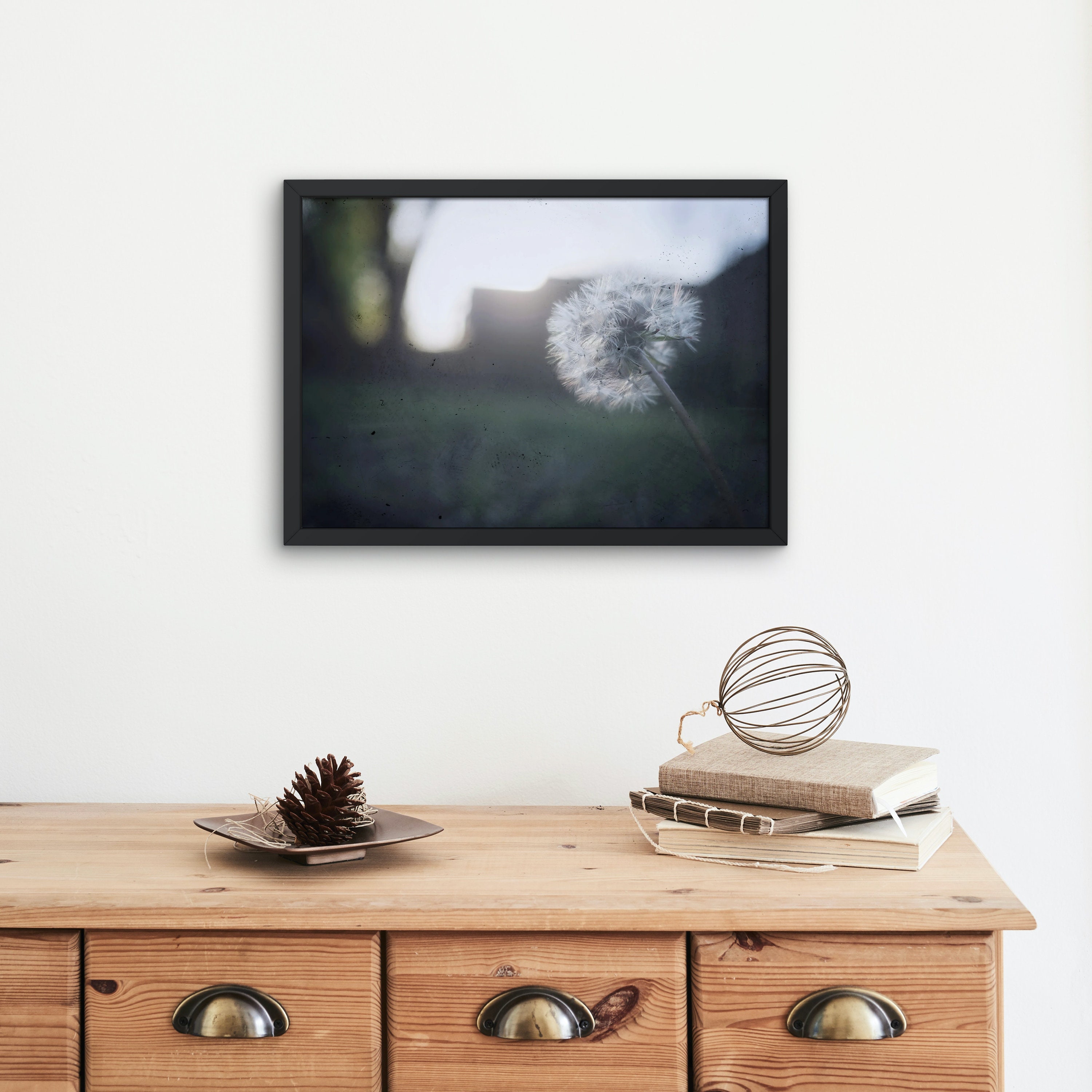 Dandelion Poster, Museum Grade Poster, High Quality Photo Print of ...