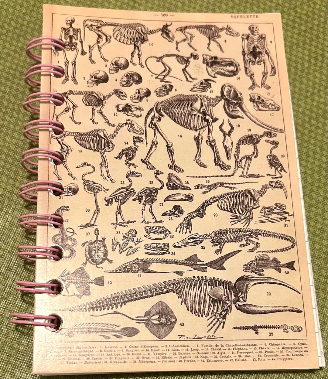 Handmade Repurposed Post Card Notebook - Etsy