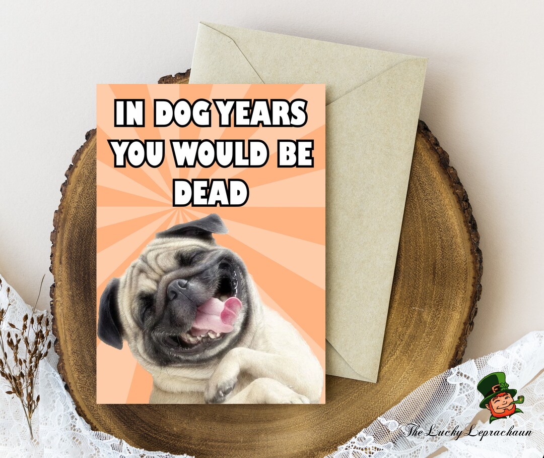 Offensive Card, Funny Birthday Card, Card for Him Her, Old Age Card, - Etsy