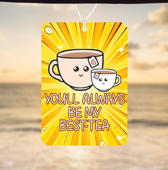 Car Air Freshener Best Friend Gift Funny Car Air Freshener Car Accessories Funny Meme Gift Funny Car Gift Secret Santa Gift for Her Etsy