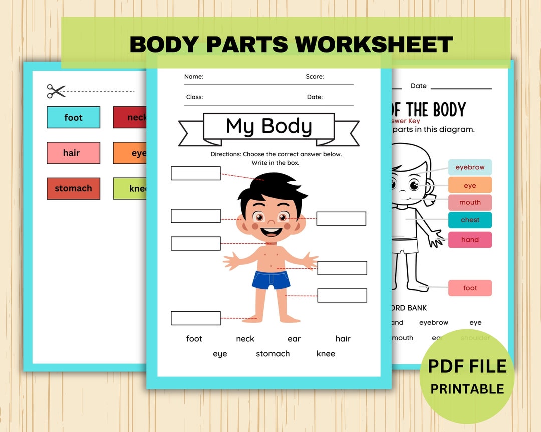 Body Parts Busy Bundle, Printable Materials Educational Prints, Toddler ...
