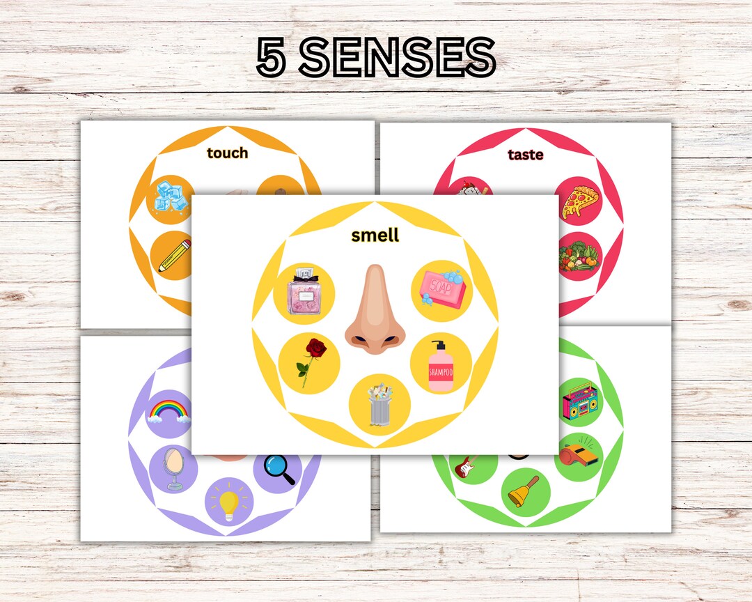 Toddler Busy Book, Printable Preschool Activities, Homeschool Materials ...