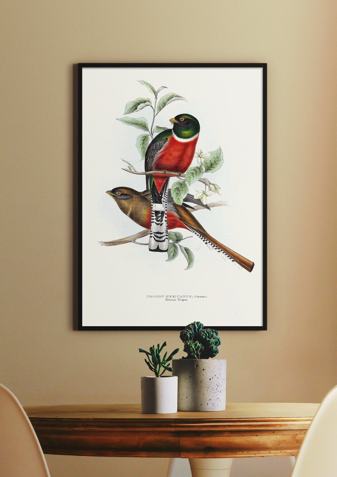 Giclee Museum Luxury Art Print Of: Mexican Trogon 2 1835-1838 by John ...
