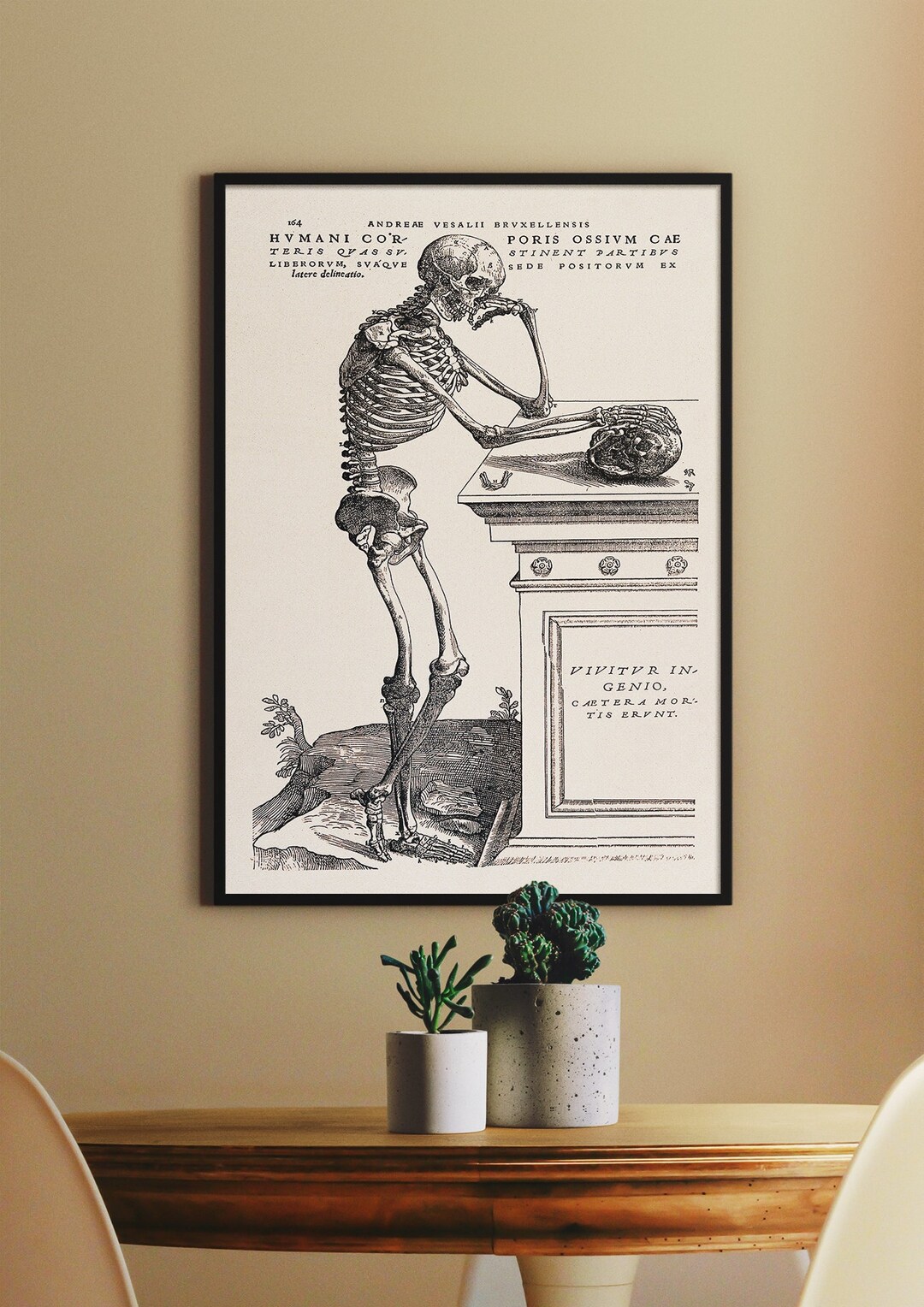Andreas Vesalius, Human Anatomy Print Skeleton Contemplating a Skull ...