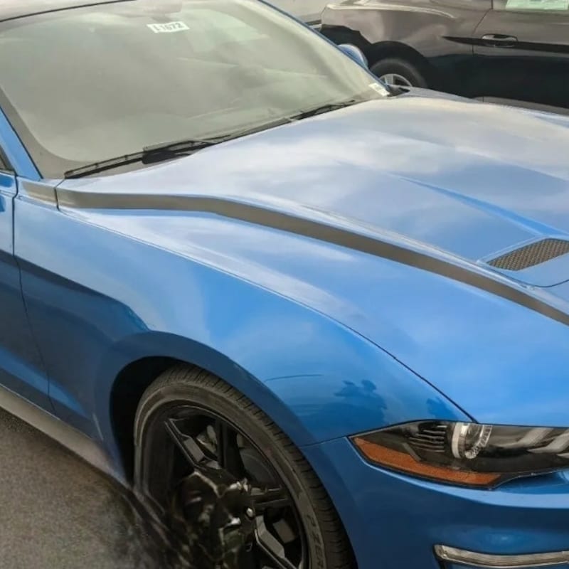 Mustang Hood Decal - Etsy
