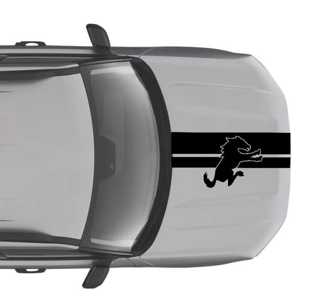 2021 2022 2023 2024 Ford Bronco Sport Hood Graphic Decal MATTE BLACK - Etsy