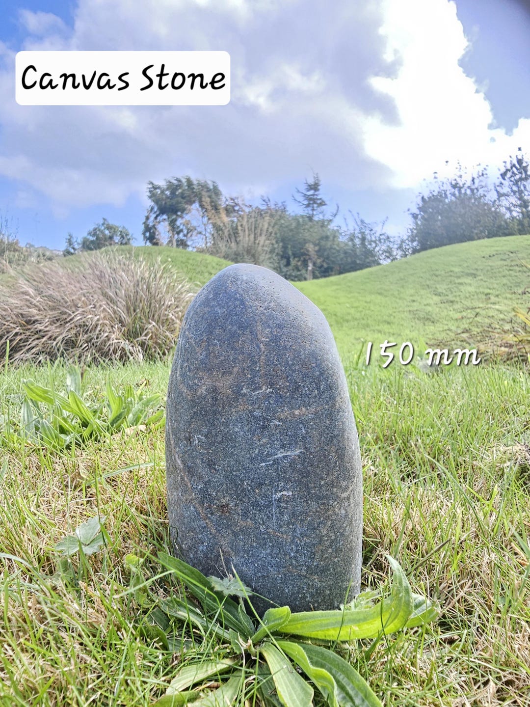 Viened Ironised Miniture Ogham Stone - Etsy Canada