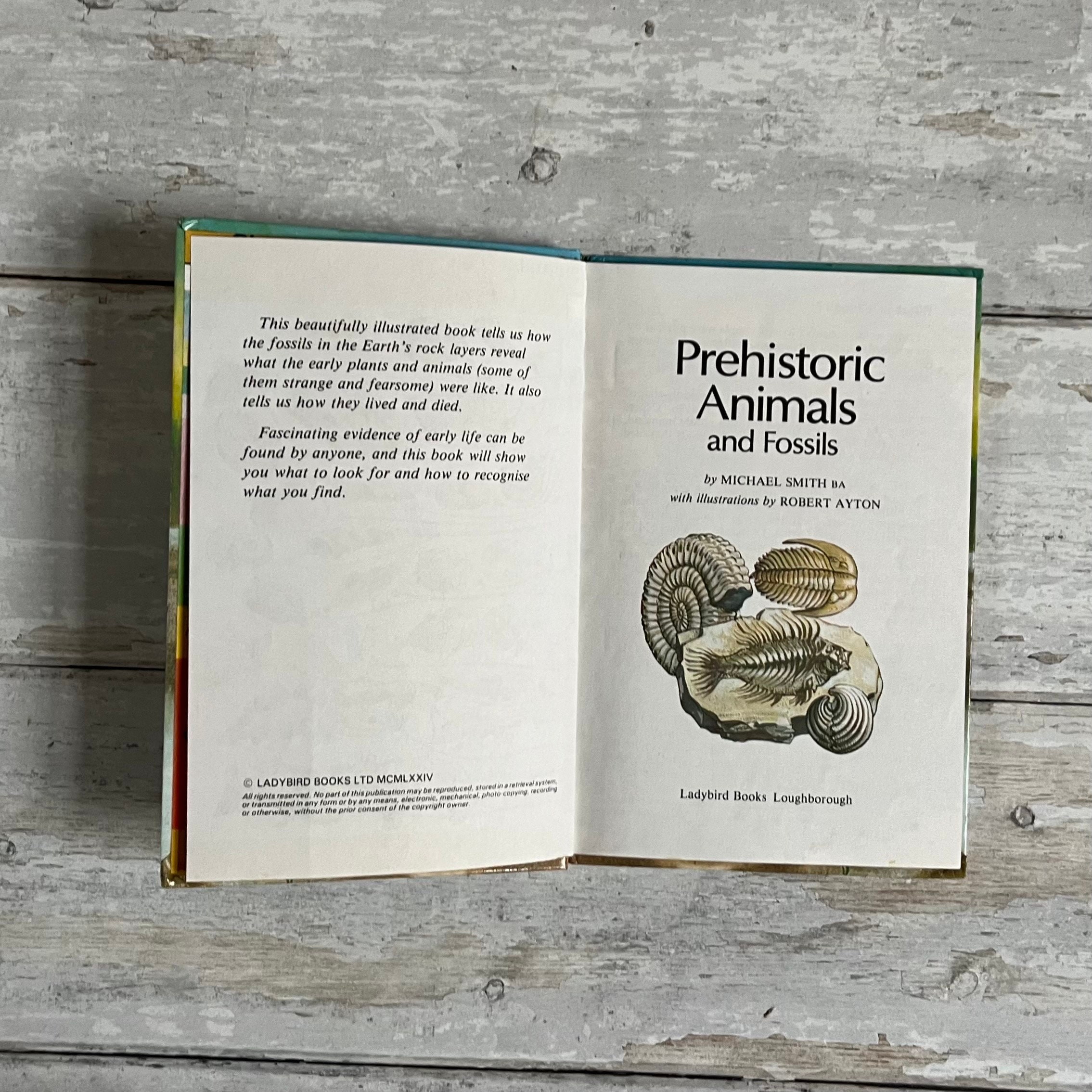 Ladybird Book Prehistoric Animals and Fossils Series 651 - Etsy