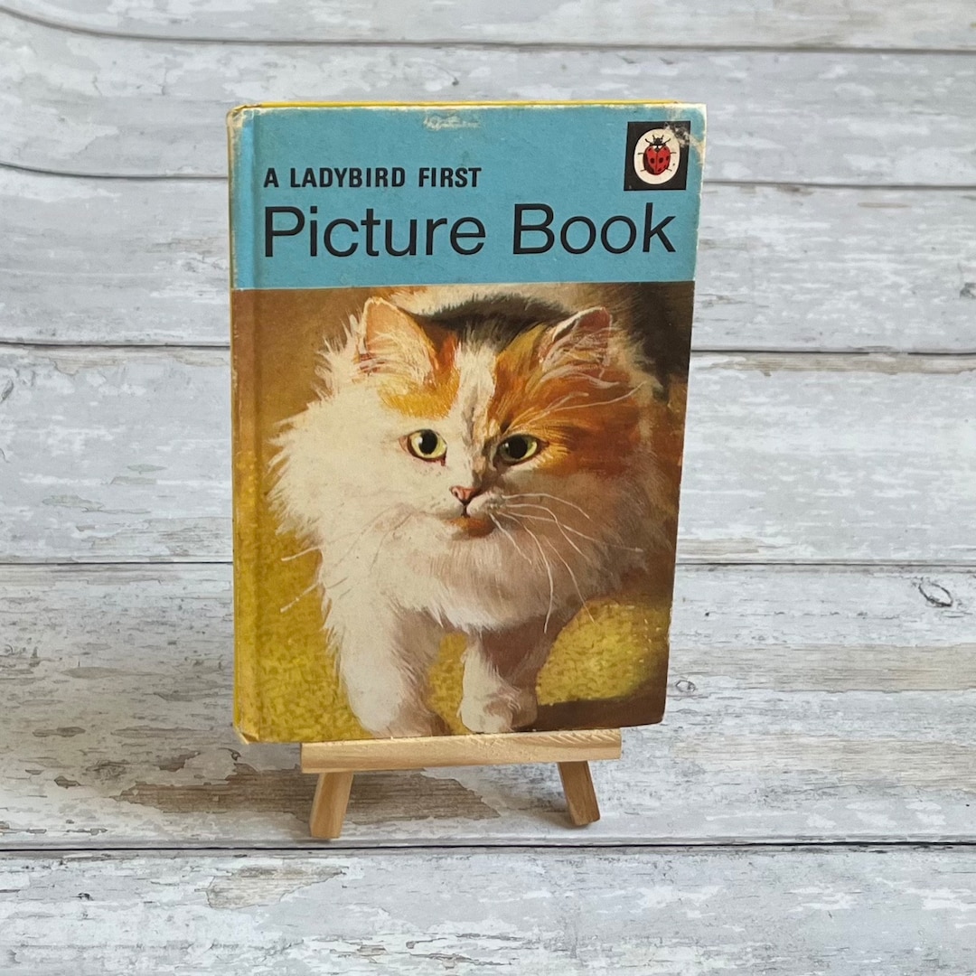 A Ladybird First Picture Book Vintage 1970 Ladybird Book Series 704 ...