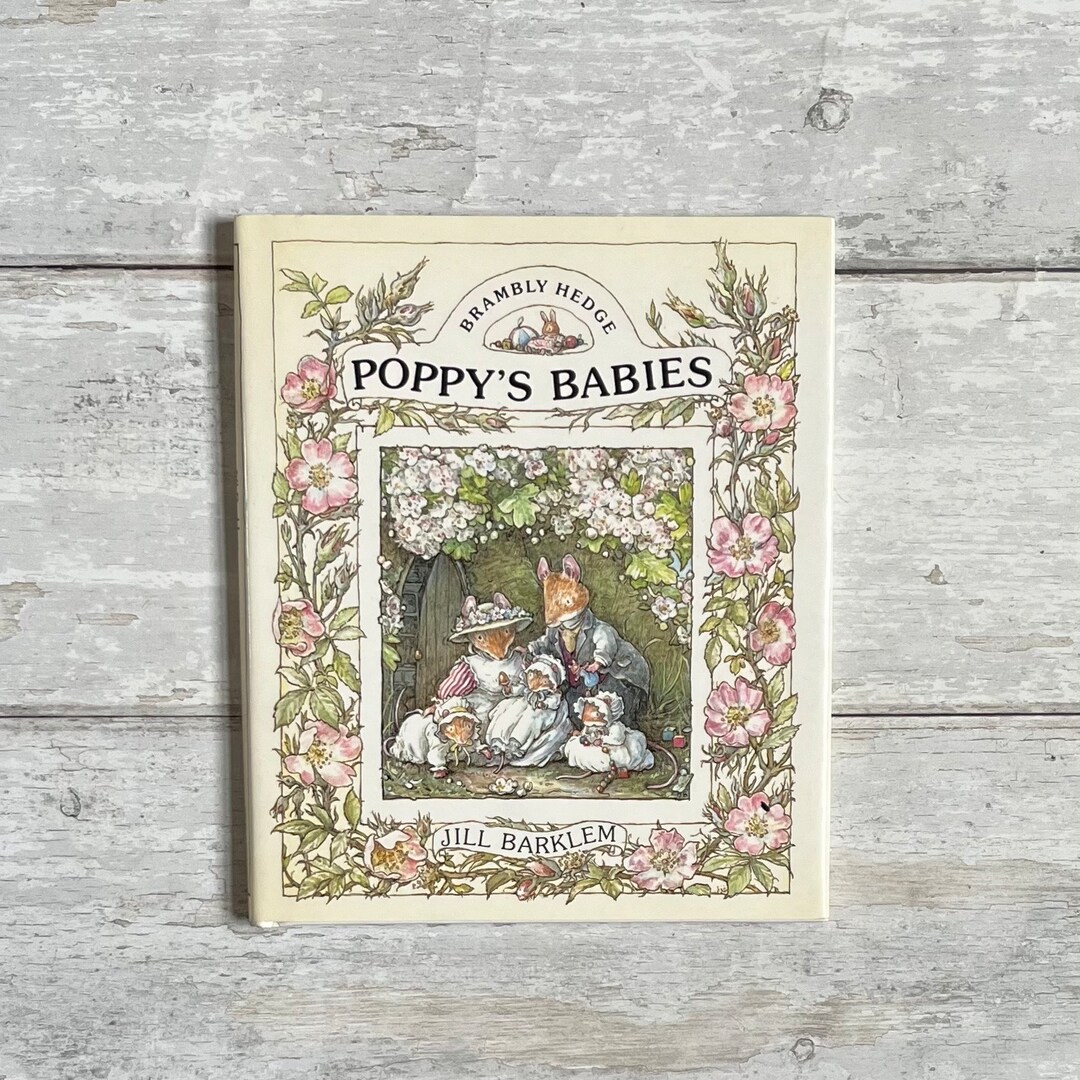 Brambly Hedge, Poppys Babies, Jill Barklem - Etsy