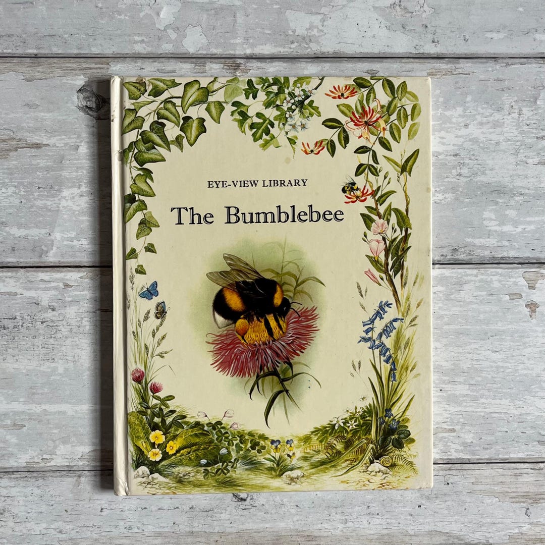 The Bumblebee - Eye View Library - Angela Sheehan - Maurice Pledger ...