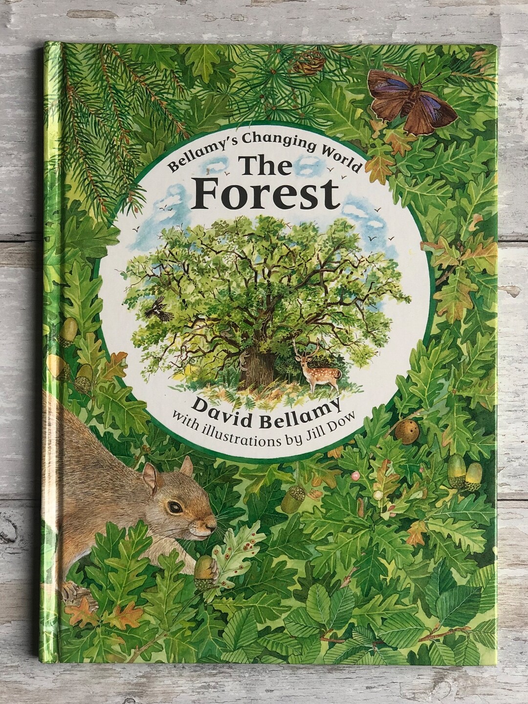 Bellamy’s Changing World the Forest David Bellamy Jill Dow - Etsy