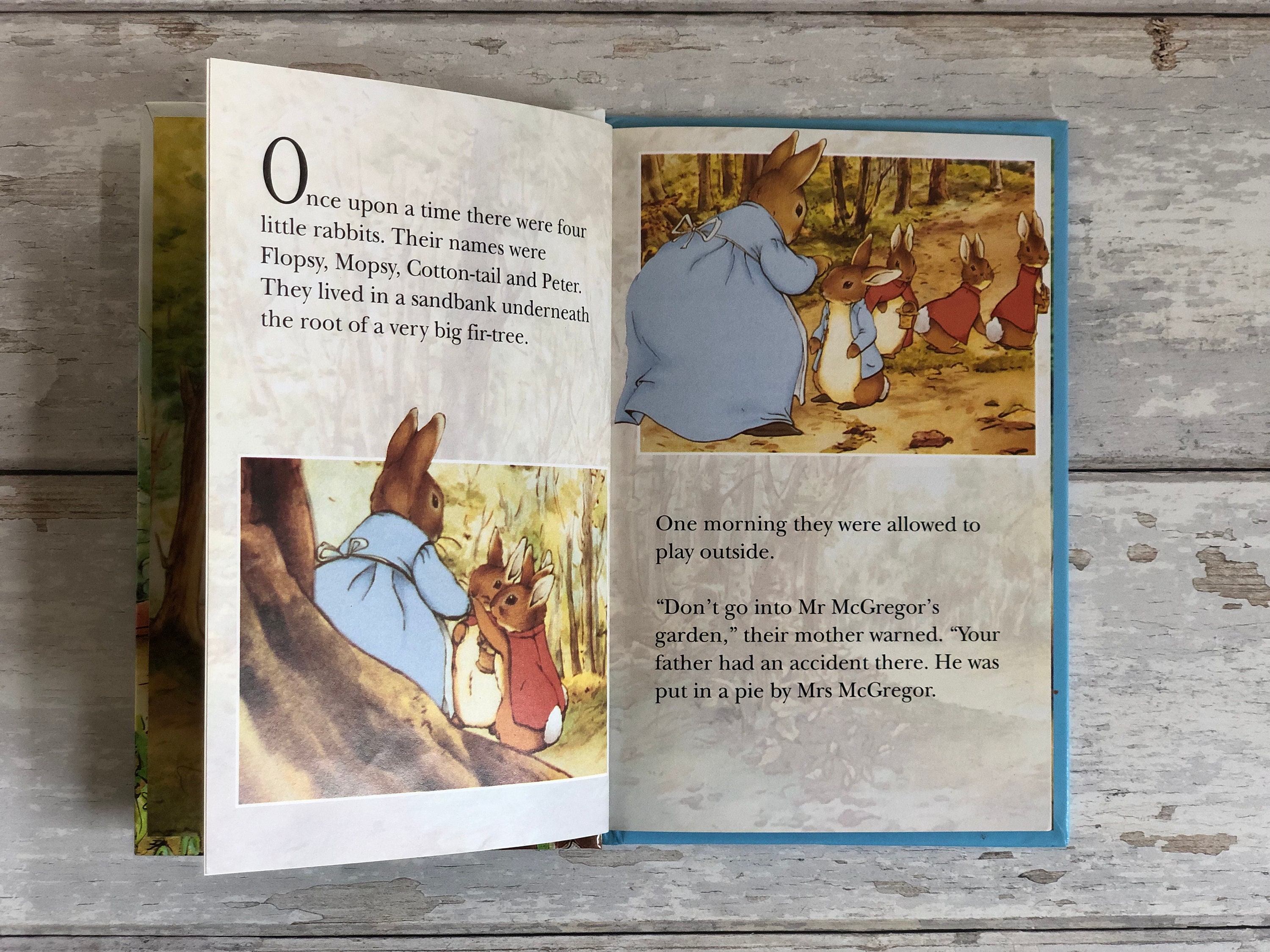 Peter Rabbit and Friends. Peter Rabbit. Vintage Ladybird Book. - Etsy