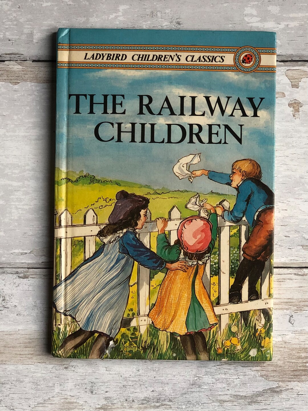Ladybird Childrens Classic the Railway Children - Etsy