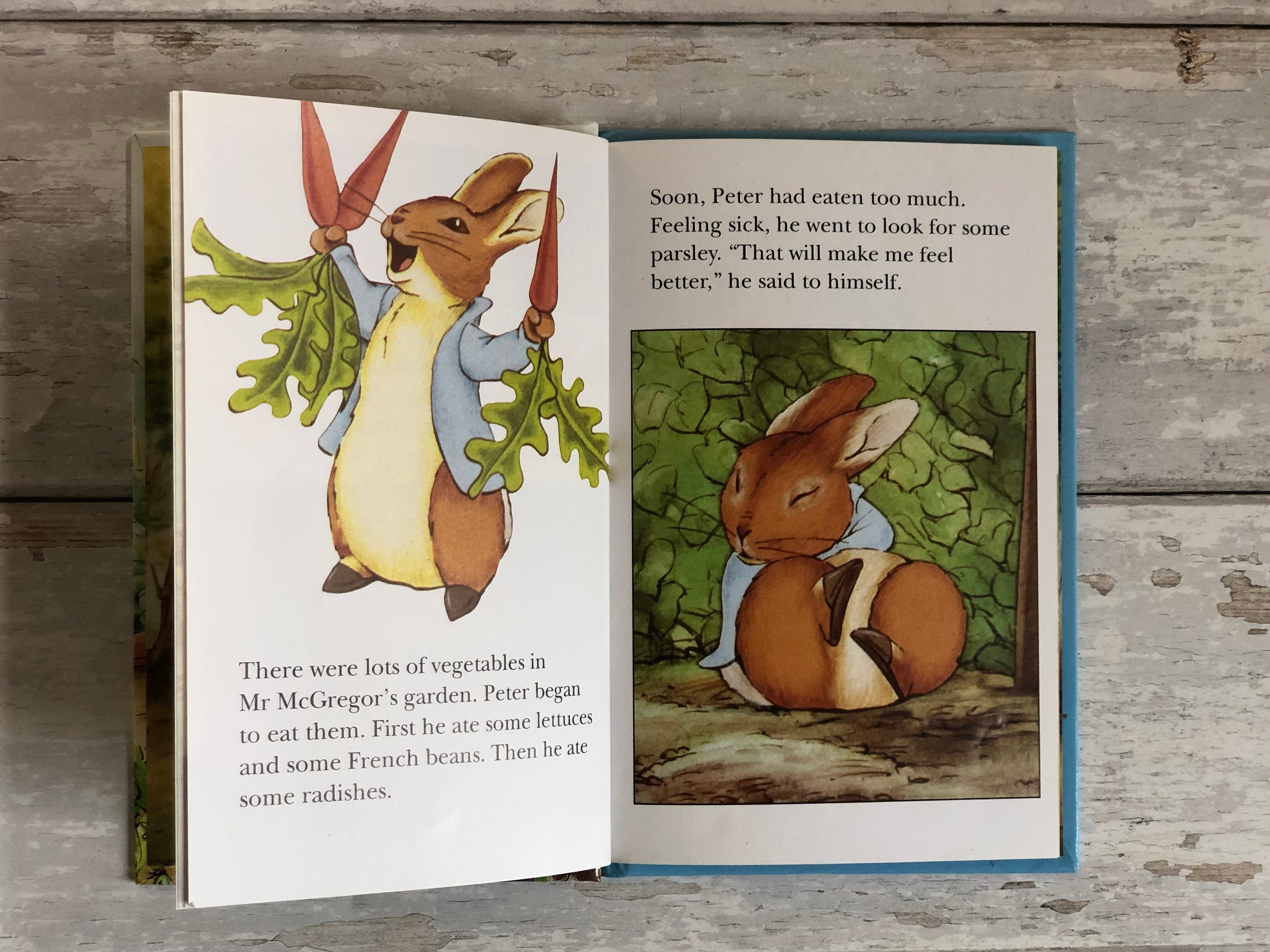 Peter Rabbit and Friends. Peter Rabbit. Vintage Ladybird Book. - Etsy