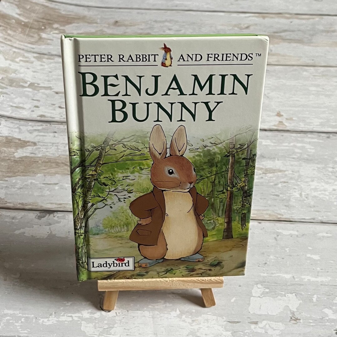 Ladybird Book - Peter Rabbit and Friends - Benjamin Bunny - Etsy