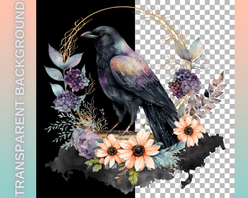 Witchy Clipart Bundle, Magical Witch PNG, Witchy Book Design, Witch ...