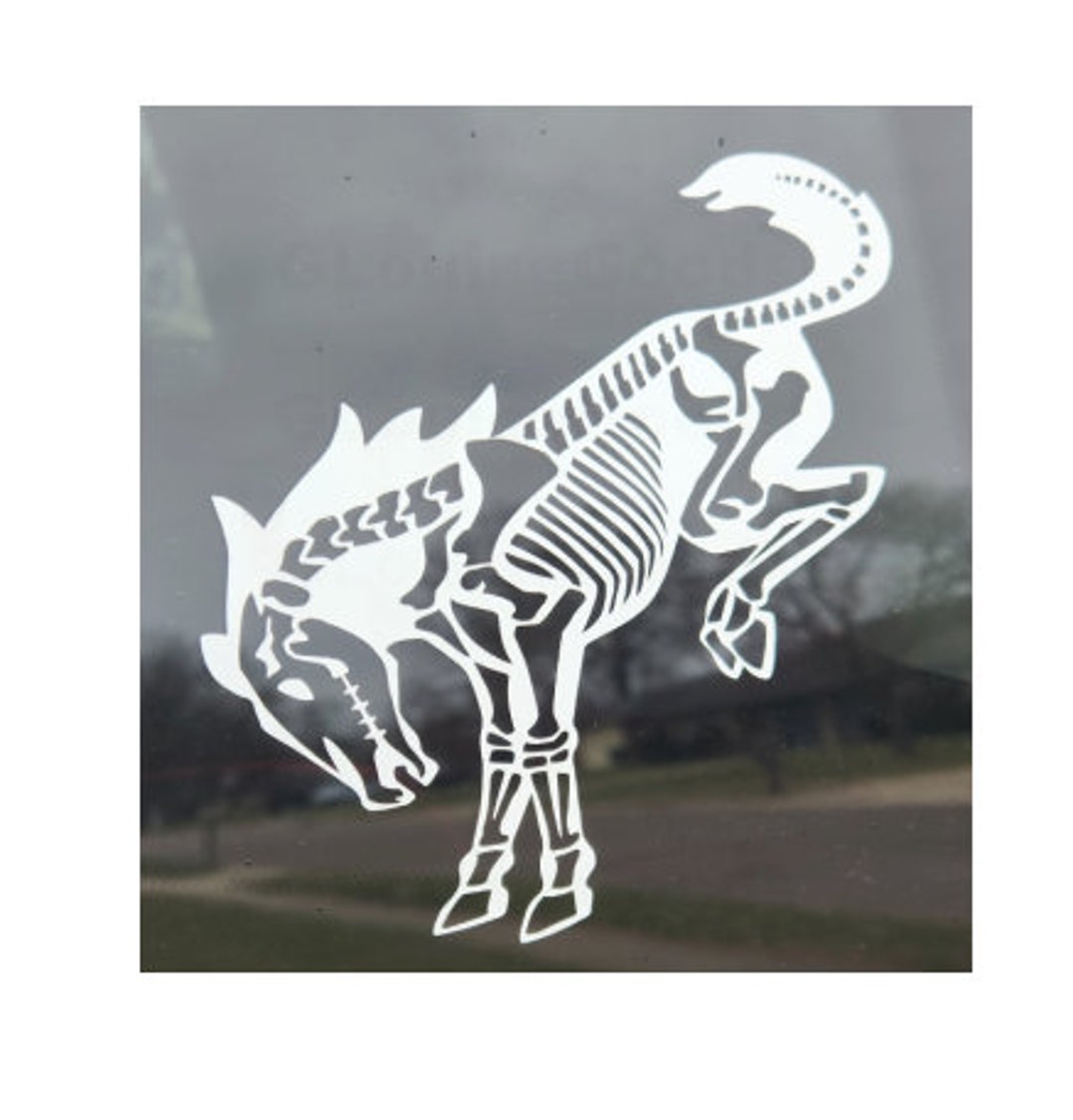 Skeleton Bronco Horse Decal - Etsy