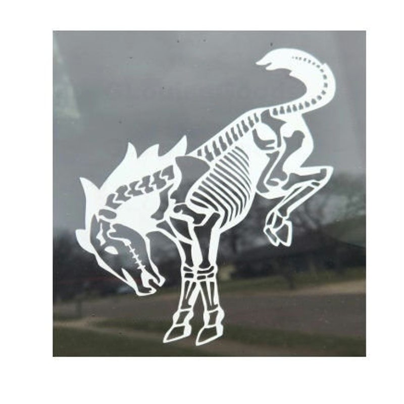 Skeleton Decal - Etsy