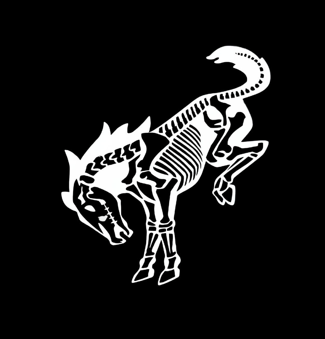 Skeleton Bronco Horse on T-shirt - Etsy