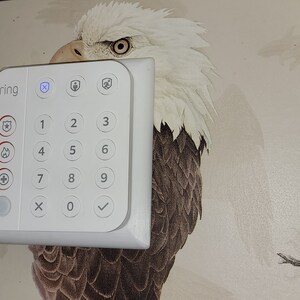 Wall/electrical Box Mount for Ring Alarm Keypad (gen 2) for Single Gang ...