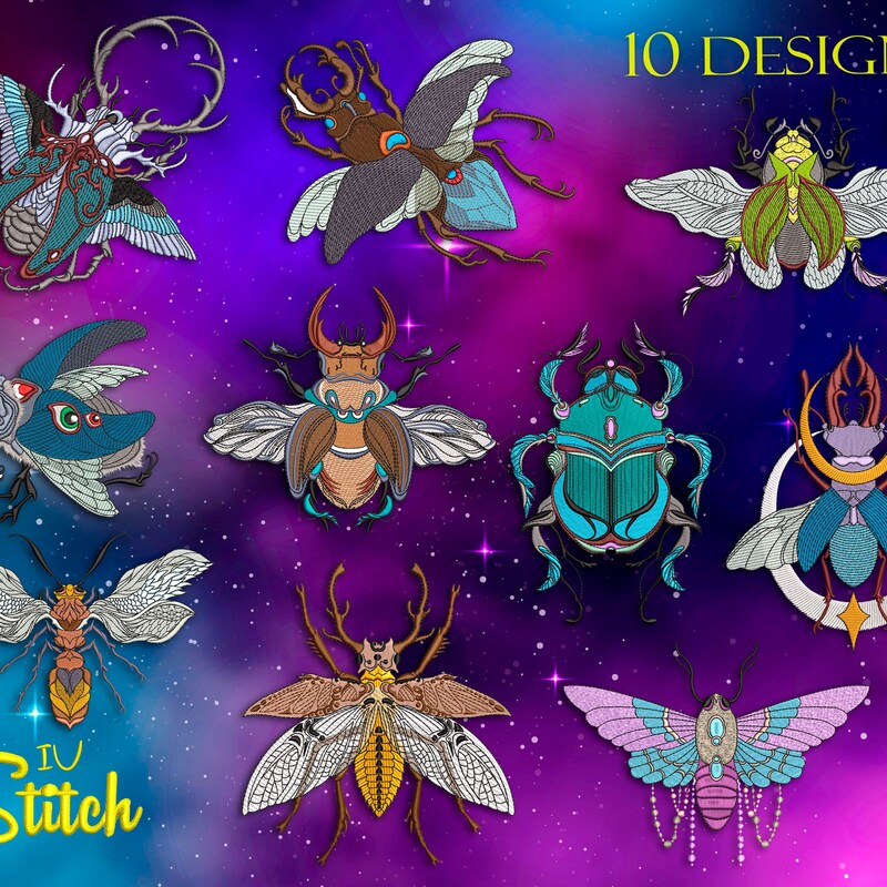 Insect Collection - Etsy