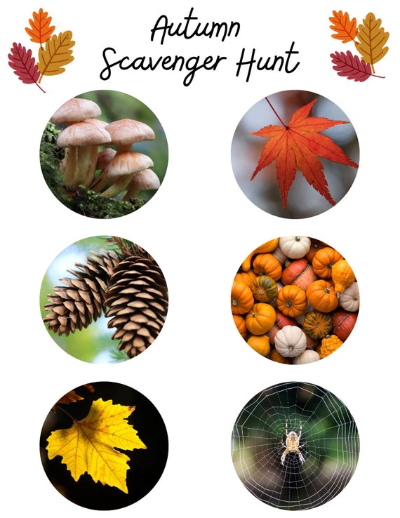 4 Seasons Outdoor Scavenger Hunt Nature Scavenger Hunt - Etsy