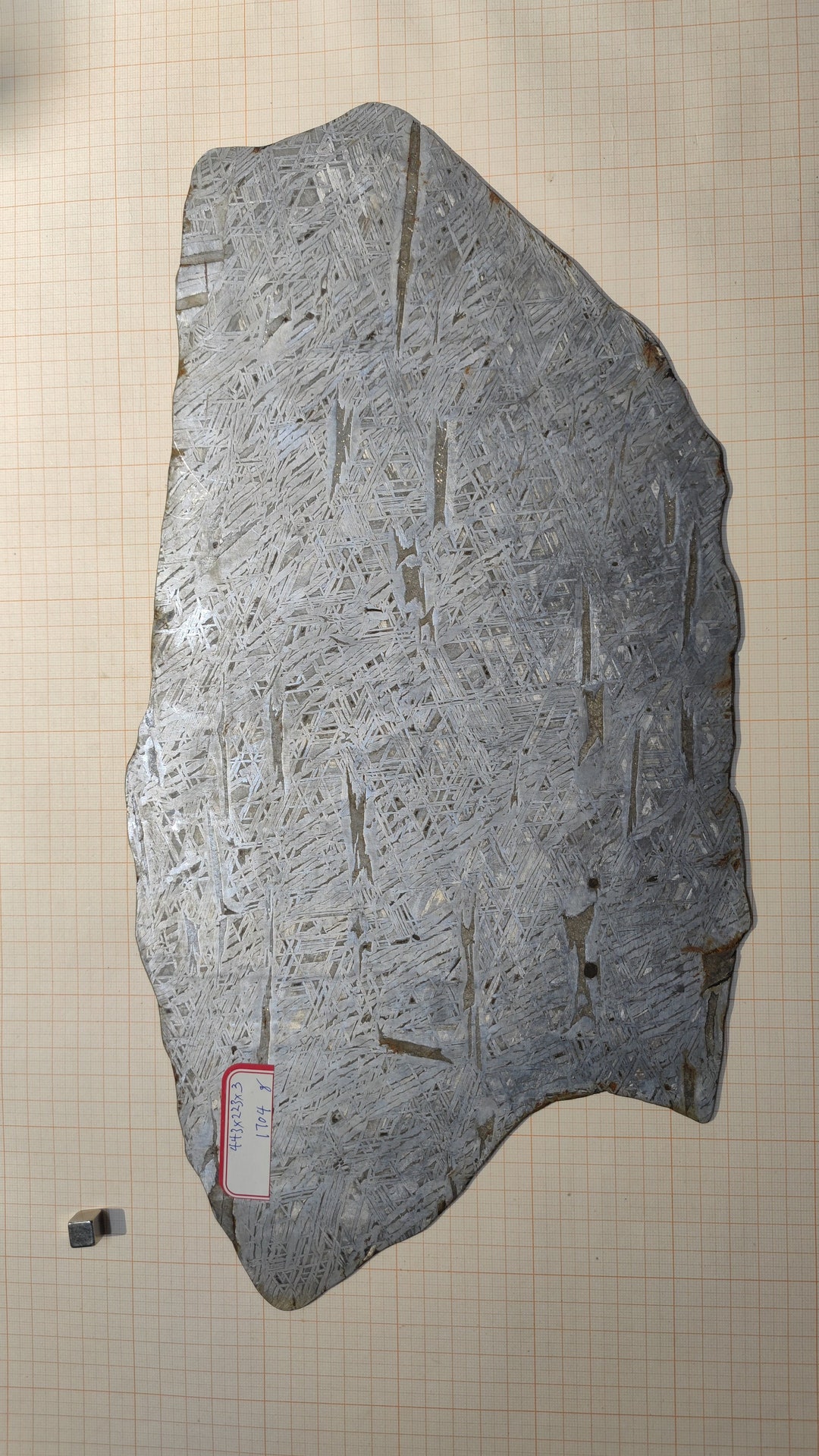 Alta Iron Meteorite Specimen for Collection 1704g - Etsy