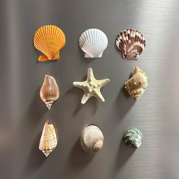 Beach Magnets - Etsy