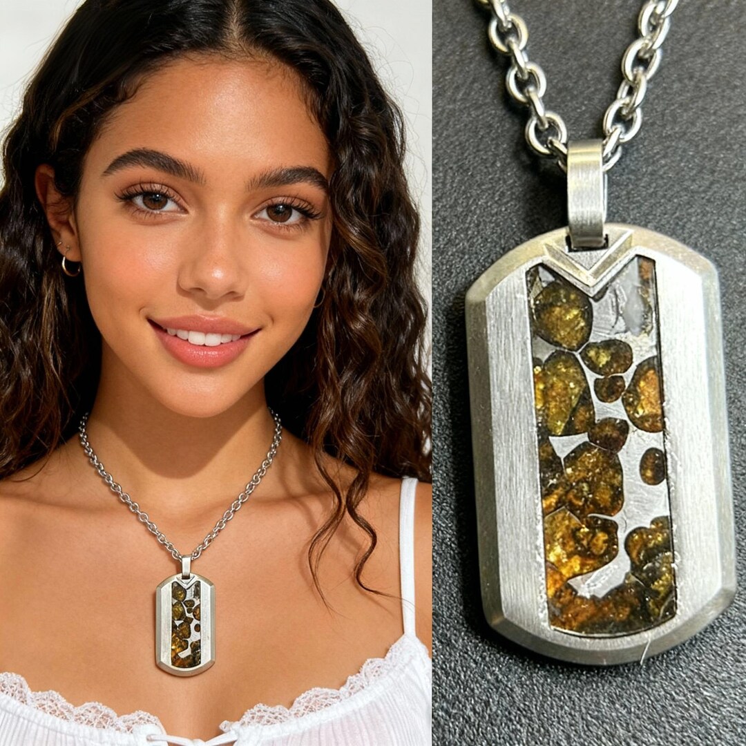 Top Quality Sericho Pallasite Meteorite Tag Pendant/meteorite Necklace ...