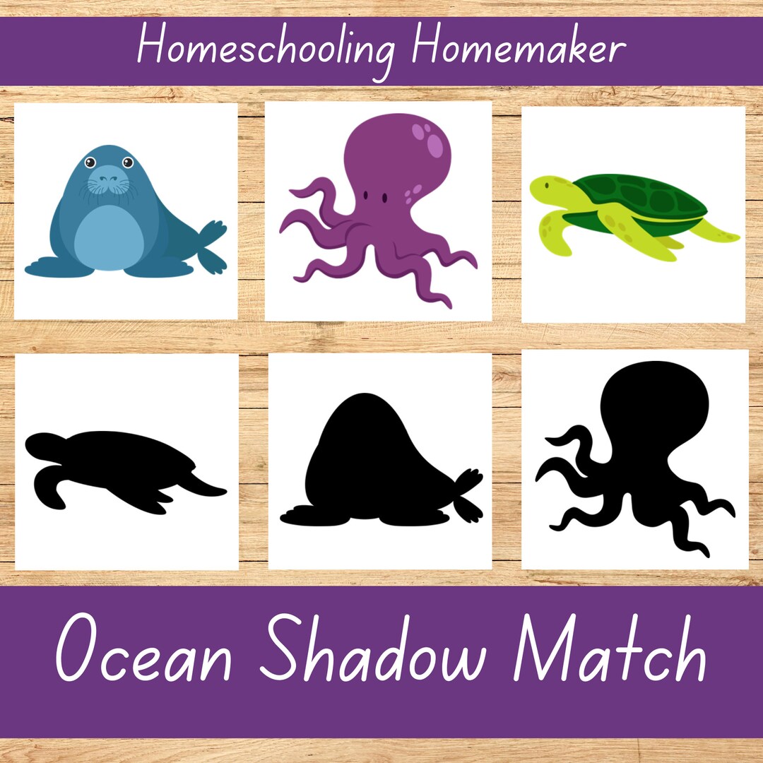 Ocean Shadow Matching Cards for Preschool, Kindergarten or Homeschool ...