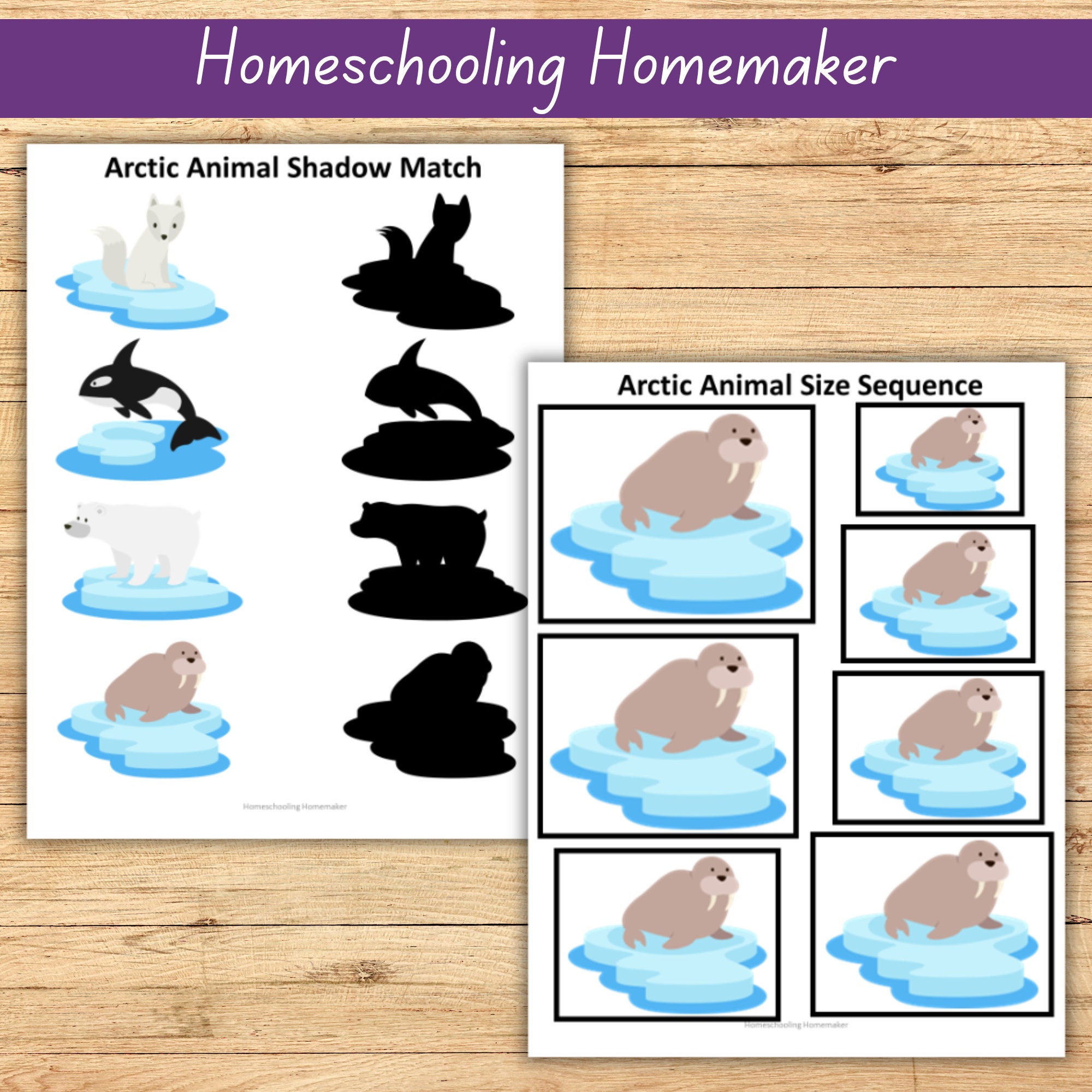 Arctic Animal Activity Worksheets for Preschool, Kindergarten or ...