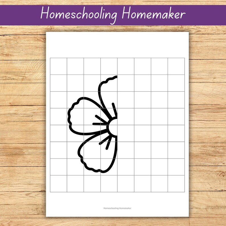 Symmetry Drawing Worksheets-flowers, Symmetrical Drawing for Kids ...