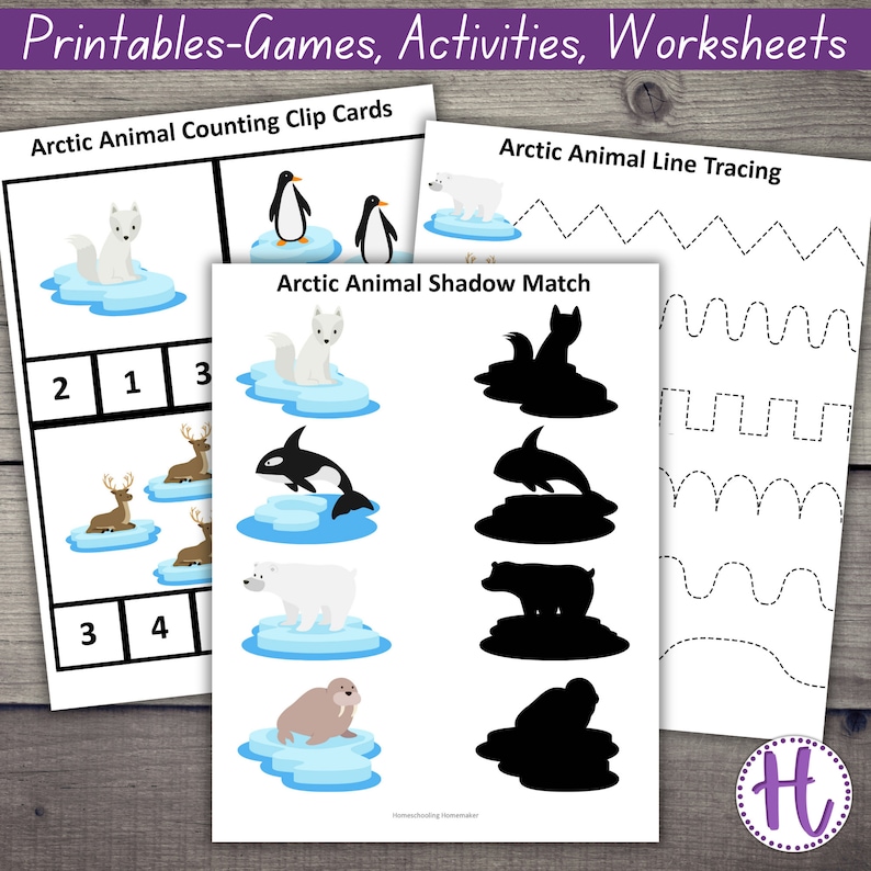 Arctic Animal Activity Worksheets for Preschool, Kindergarten Learning ...