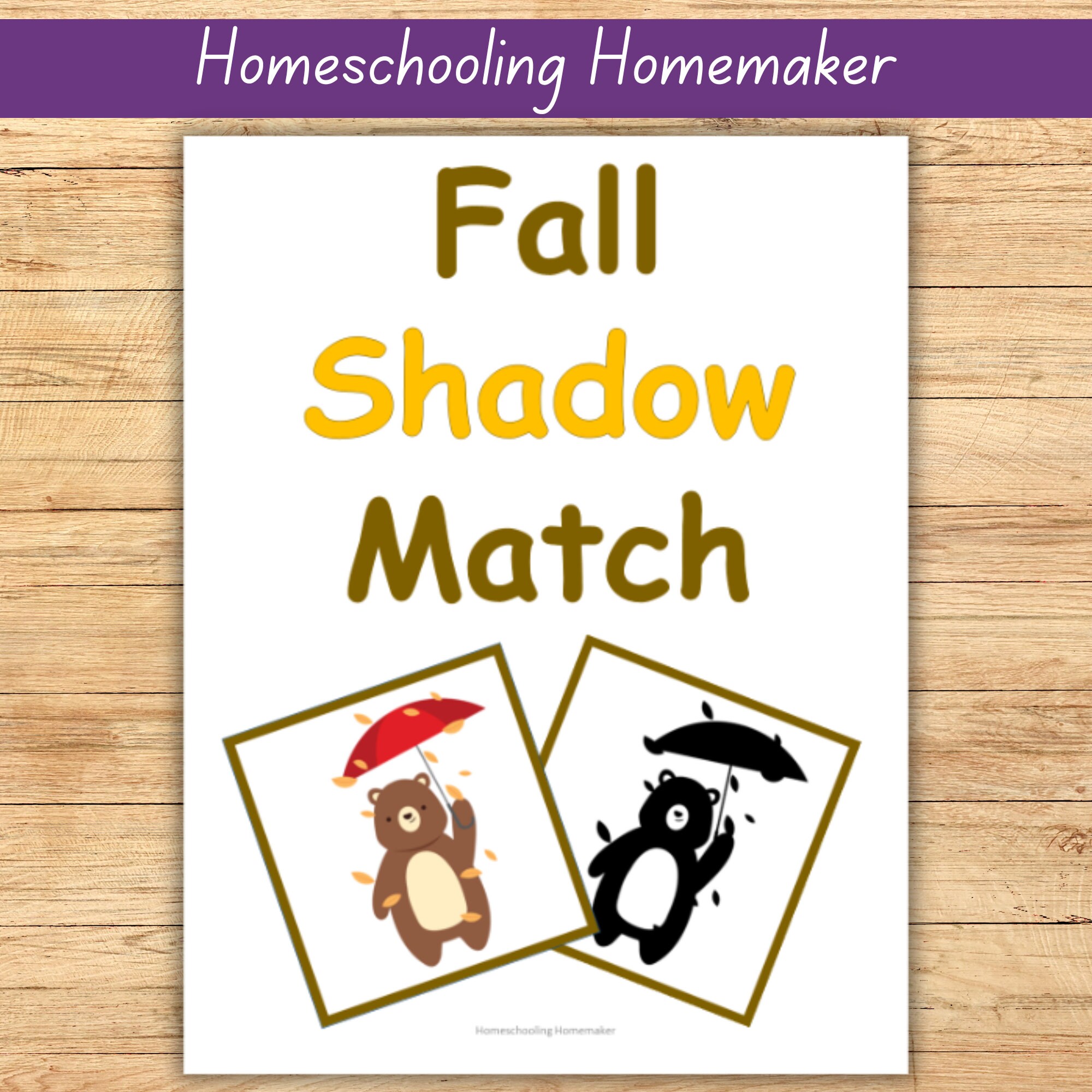 Fall Shadow Matching Cards for Kids in Preschool or - Etsy