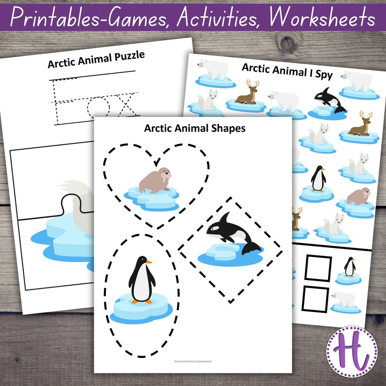 Arctic Animal Activity Worksheets for Preschool, Kindergarten Learning ...