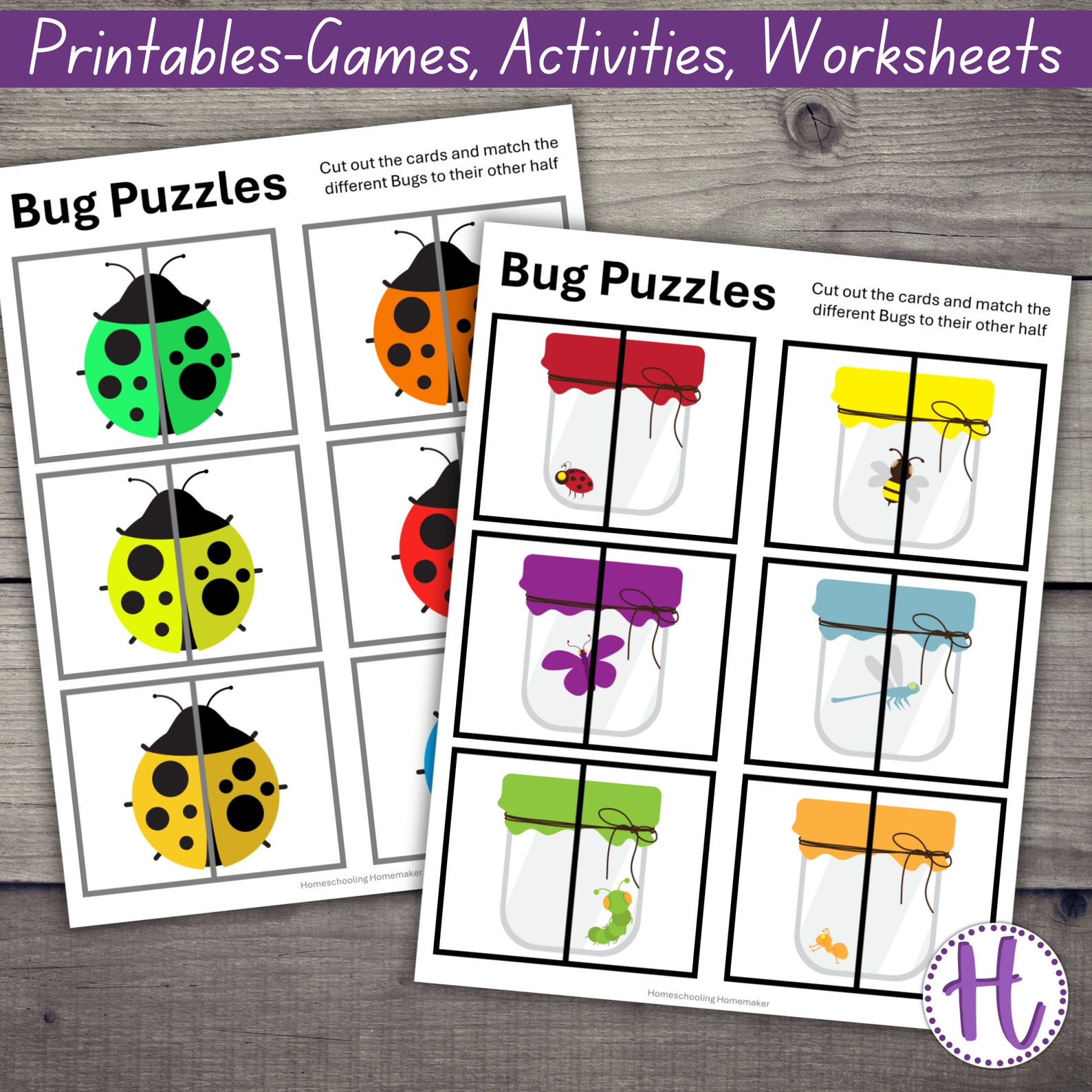 Bug Matching Puzzles for Kids, Match the Other Half Bug Game, Preschool ...