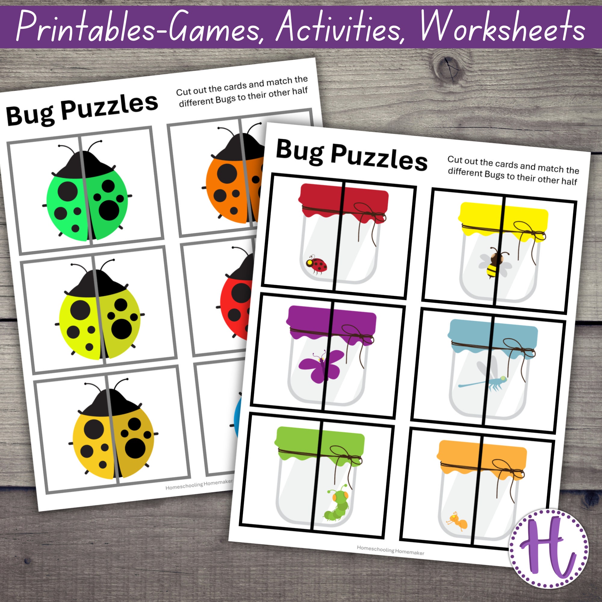 Bug Matching Puzzles for Kids, Match the Other Half Bug Game, Preschool ...